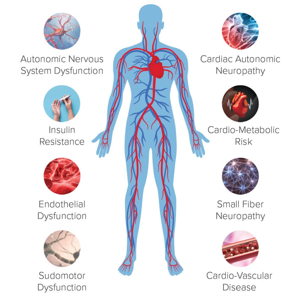 ANS Testing BluVida Wellness Med Spa ANS Testing BluVida Wellness Med Spa